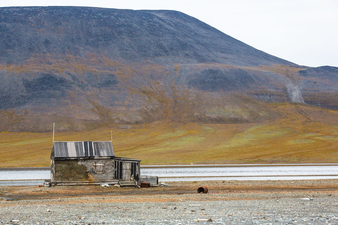 Wrangel Island Russia: Guide with Sublime Photos | RussiaDiscovery.com